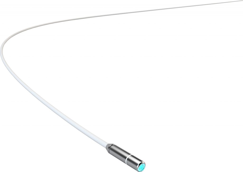 Cellvizio_Probe_GastroFlex_UHD_LaserOn - Reinhard Di Lena GmbH Reinhard ...